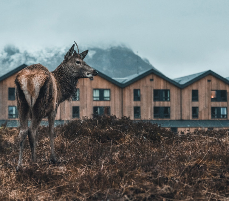 Restaurant & Bar in Glencoe | Kingshouse Hotel